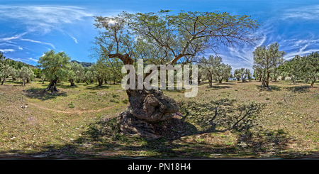 360° view of Cala Tuent 1 - Alamy