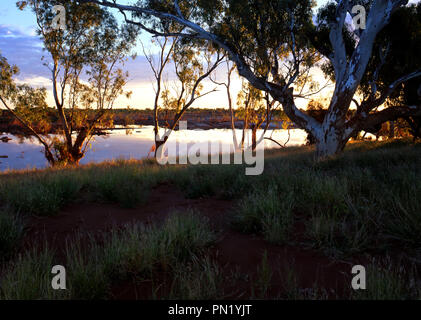 Ashburton River with Eucalyptus Gum Trees, Onslow, Pilbara, Western ...