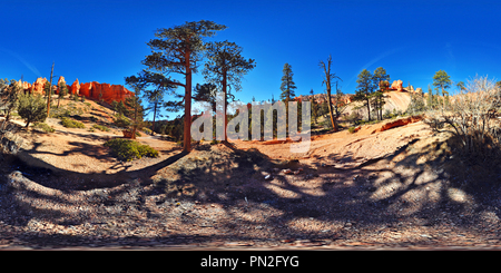 360° view of Bryce Canyon - Navajo Loop Trail 2 - Alamy