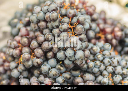Black Corinth grapes cluster, Champagne grapes isolated on white ...