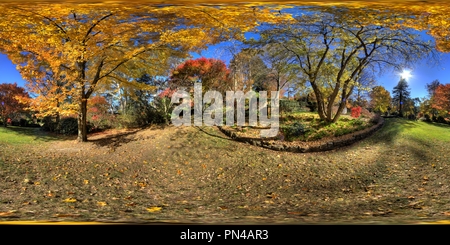 360° view of Autumn in Mt Wilson - The Blue Mountains ... Panorama 3 of ...
