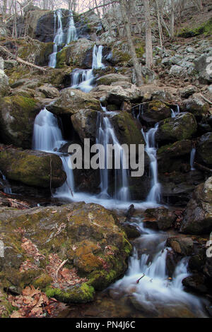 Forest waterfalls from mountain rivers Stock Photo - Alamy