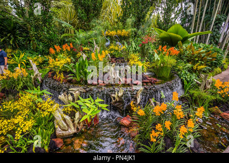 Water feature, Botanical Gardens, Singapore Stock Photo - Alamy