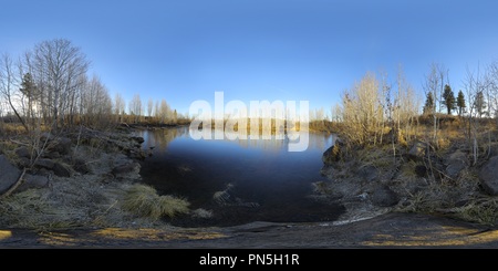 360° view of Quaking Aspen Spring - Alamy