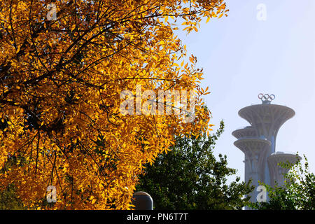 Autumn scenery at Beijing Olympic Park in Beijing, China, 1 November ...