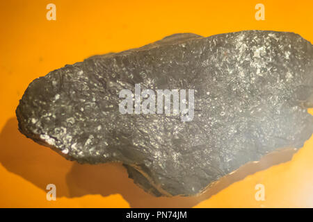 Bituminous coal, coal containing Bitumen or Asphalt, from South Eastern ...