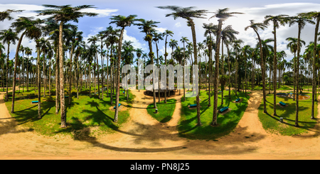 360° view of Palmentuin 3 Paramaribo Suriname 2 - Alamy