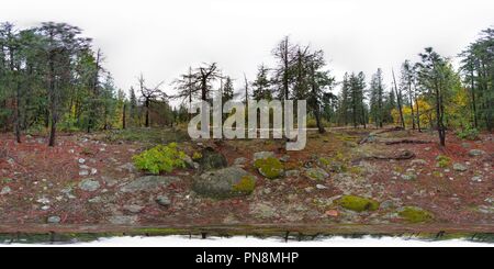 360° view of Stehekin Valley Road mossy area - Alamy