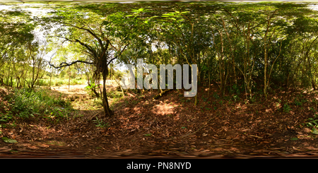 360° view of Farm, tropical ecosystem - Alamy