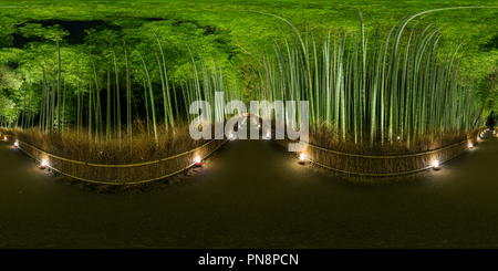 360° view of Arashiyama Bamboo Forest - Kyoto - Alamy
