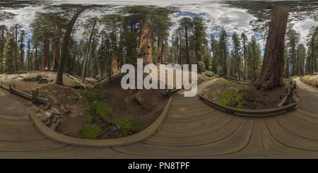 360° view of Sequoia National Park - Alamy