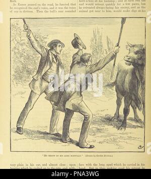 Archive image from page 572 of Das grosse illustrirte Kräuter-Buch Stock Photo - Alamy