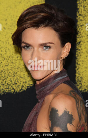 HOLLYWOOD, CA - DECEMBER 12: Ruby Rose, at Premiere Of Universal ...