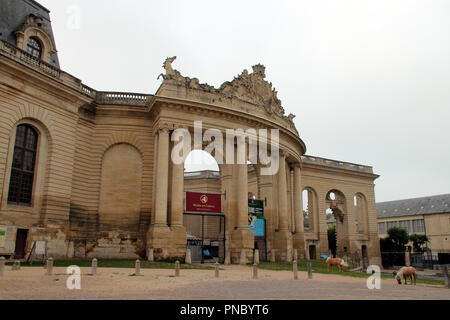 The great stables in Chantilly (France Stock Photo - Alamy