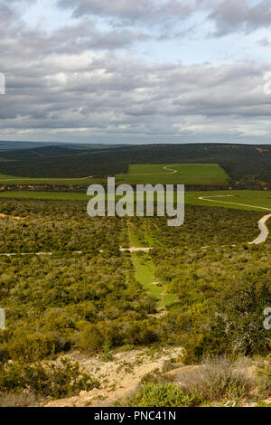 Lookout over the green bush field with patches Stock Photo - Alamy