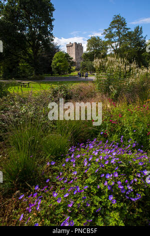 Blarney, Republic of Ireland - August 16th 2018: A view of the historic ...