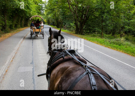 jaunty car, Killarney National Park, Co. Kerry, Republic of Ireland ...