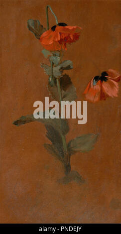 Study of Poppies Signed and dated in graphite or charcoal: "James ...