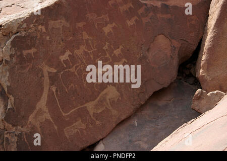 A road trip across Namibia from Etosha to Sossusvlei Stock Photo - Alamy