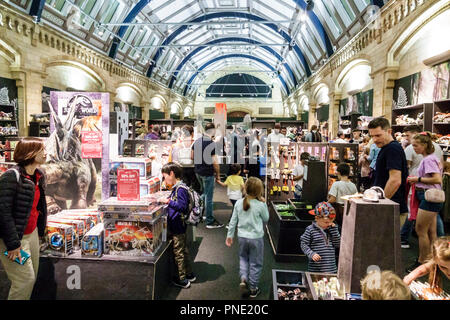 The Museum Shop, Natural History Museum, London UK Stock Photo - Alamy