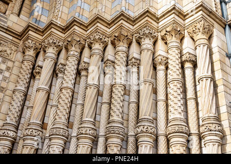 Pillars of Natural History Museum London Stock Photo - Alamy