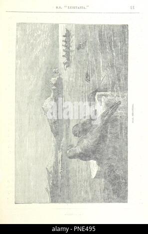 Image from page 31 of 'Norway in June ... Third and revised edition ...