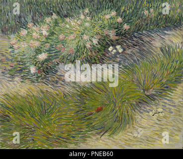 Grass with Butterflies. Museum: Van Gogh Museum, Amsterdam Stock Photo ...