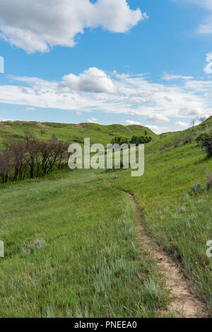 Rolling prairie and badlands of Theodore Roosevelt National Park ...