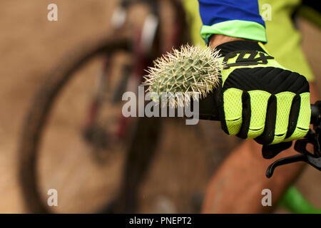 Cholla cactus on mountain biker Stock Photo - Alamy