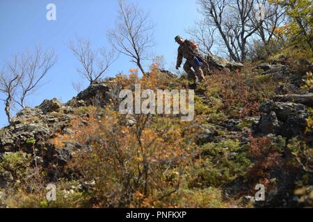 Forest ranger with his back in the forest. Protection the earth and our ...