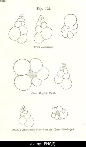 Image from page 325 of 'Elementary Physical Geography' Stock Photo - Alamy