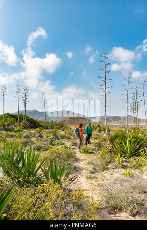 Hiker among sand dunes in the desert Stock Photo - Alamy