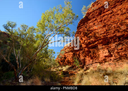 Australia, Western Australia, Pilbara territory, Karijini National Park ...