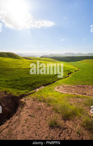 Landscape and nature around Qazvin and Tascht in Iran. One stop during ...