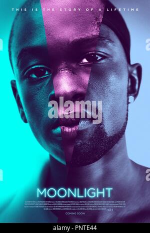 Original Film Title: MOONLIGHT. English Title: MOONLIGHT. Film Director ...