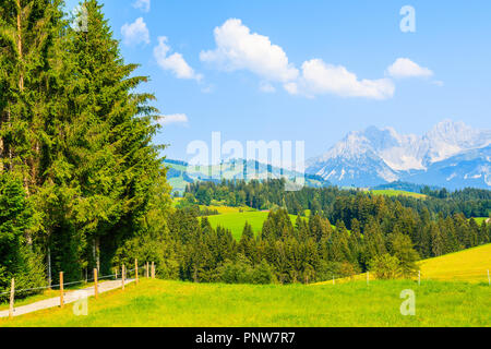 Green meadow in Gieringer Weiher mountain area on sunny summer day ...
