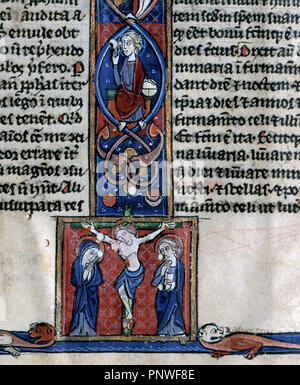 Page from A Holy Bible Depicting Scenes of the Old Testament -High ...