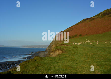 The Wales Coast Path at Borth, Ceredigion, Wales, UK Stock Photo - Alamy