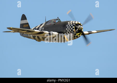 Republic P-47 Thunderbolt Second World War fighter plane in olive drab ...