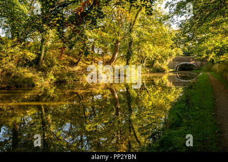 Lancaster Canal at Salwick near Preston, Lancashire Stock Photo - Alamy