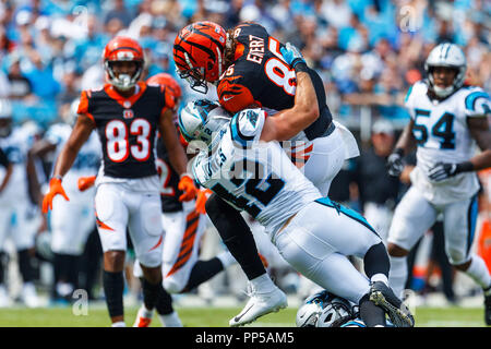 Carolina Panthers tight end Colin Thompson (86) warms-up prior to an ...