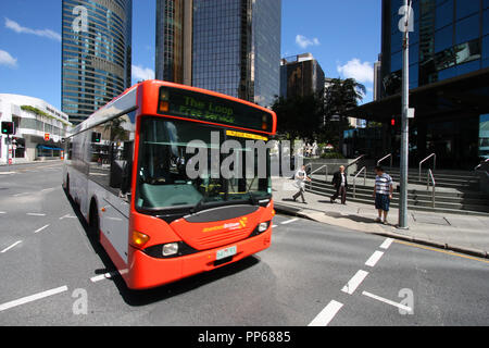 Public transport buses in Brisbane, Queensland, Australia Stock Photo ...