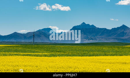 Foothills in Alberta with golden fields and hay bales and Canadian ...