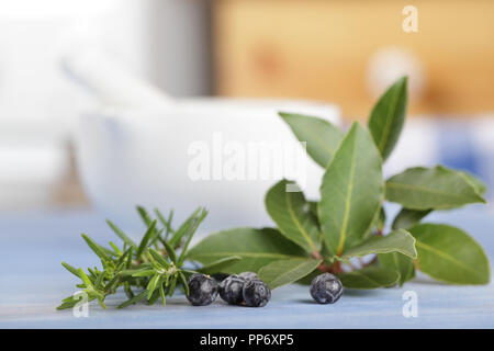 Rosemary, the berries of juniper, and bay leaf on the table Stock Photo ...