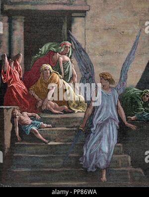 Book of Exodus. The Plagues of Egypt. Tenth plague: death of Stock ...