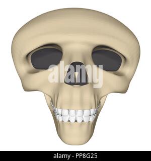 Deformed human skull in cartoon style. 3D. Vector illustration Stock ...