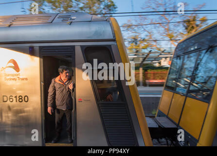 Sydney Trains tangara carriage at a sydney railway station, Australia ...