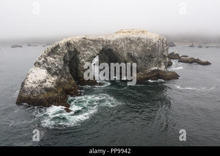 A massive sea stack, formed by the erosive powers of wind and water ...
