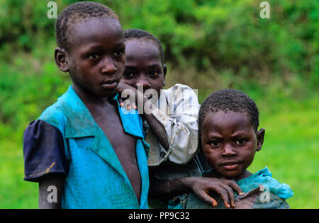 Pygmy Children on the Way To School, Bundibugyo, Uganda, Africa Stock ...