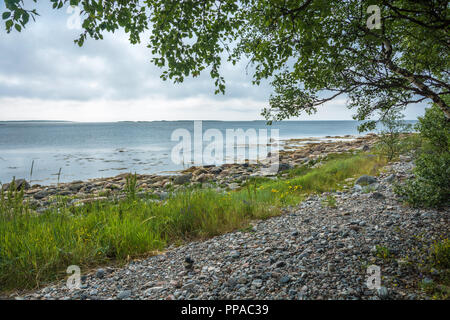 Beautiful rocky shore of the White sea in summer day Stock Photo - Alamy